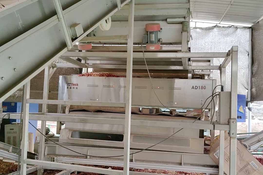 He Impact Of Artificial Intelligence On The Sorting Of Super-Long Chili Peppers And Sorting ...